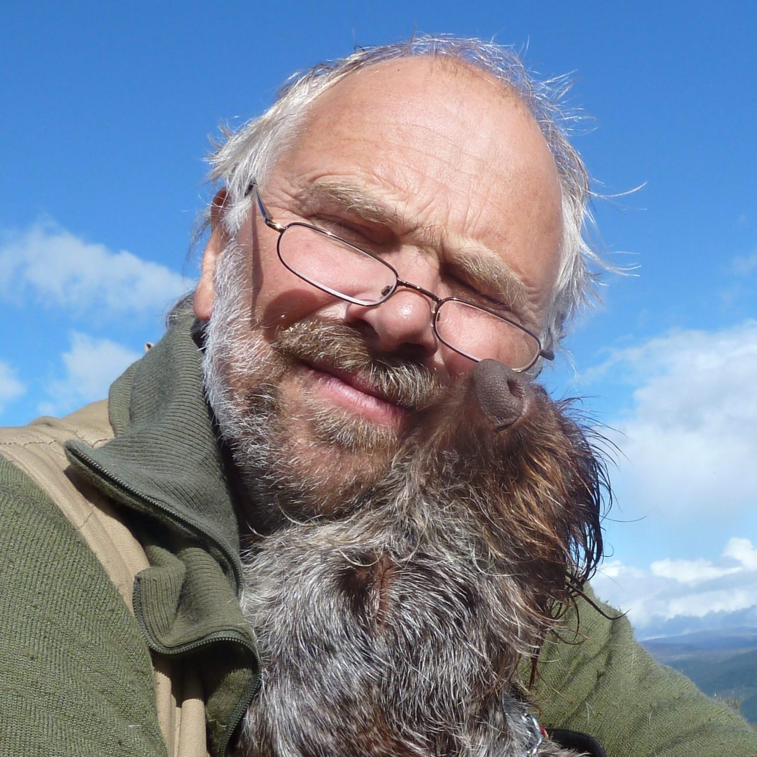 Om Hjorteviltet - Hjorteviltet